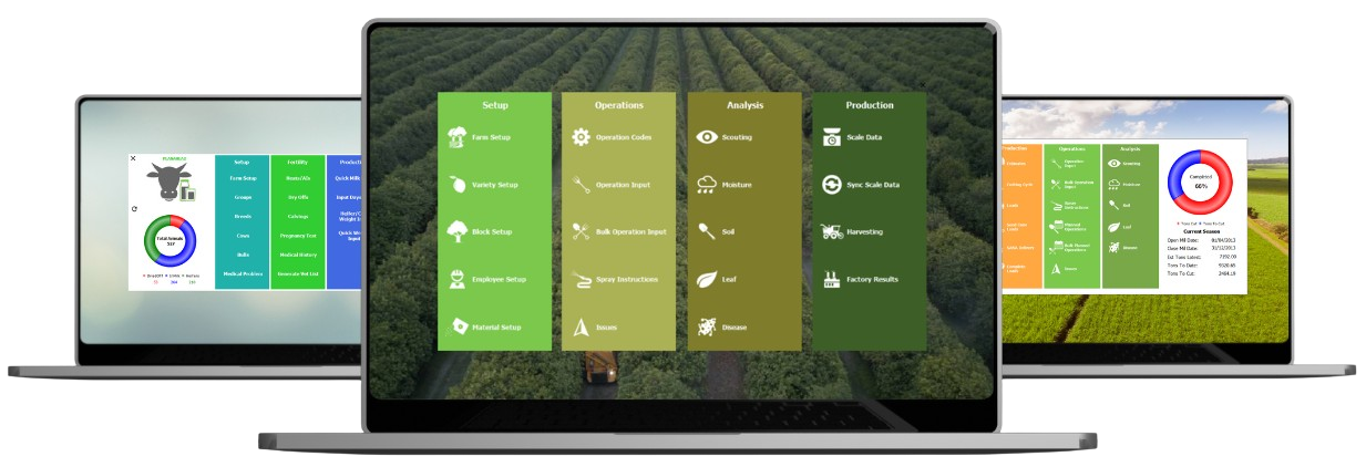 Plan-A-Head Agriculture Software
